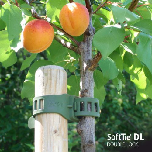 SoftTie Plant Ties